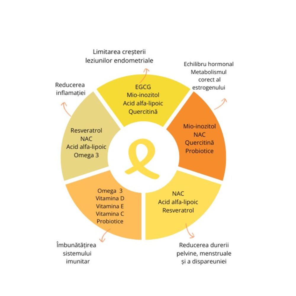 EndoProfem® (30 plicuri+30 capsule), EstabloPharma de la Botaniq.ro - Simte natura!